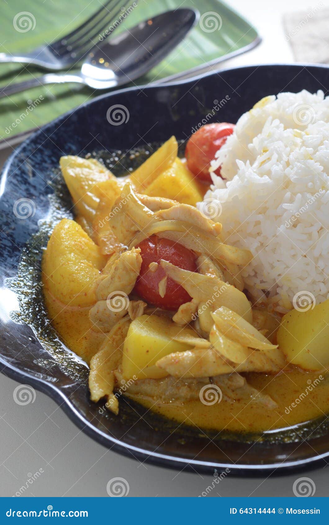 Curry Chicken rice stock photo. Image of fork, asian - 64314444