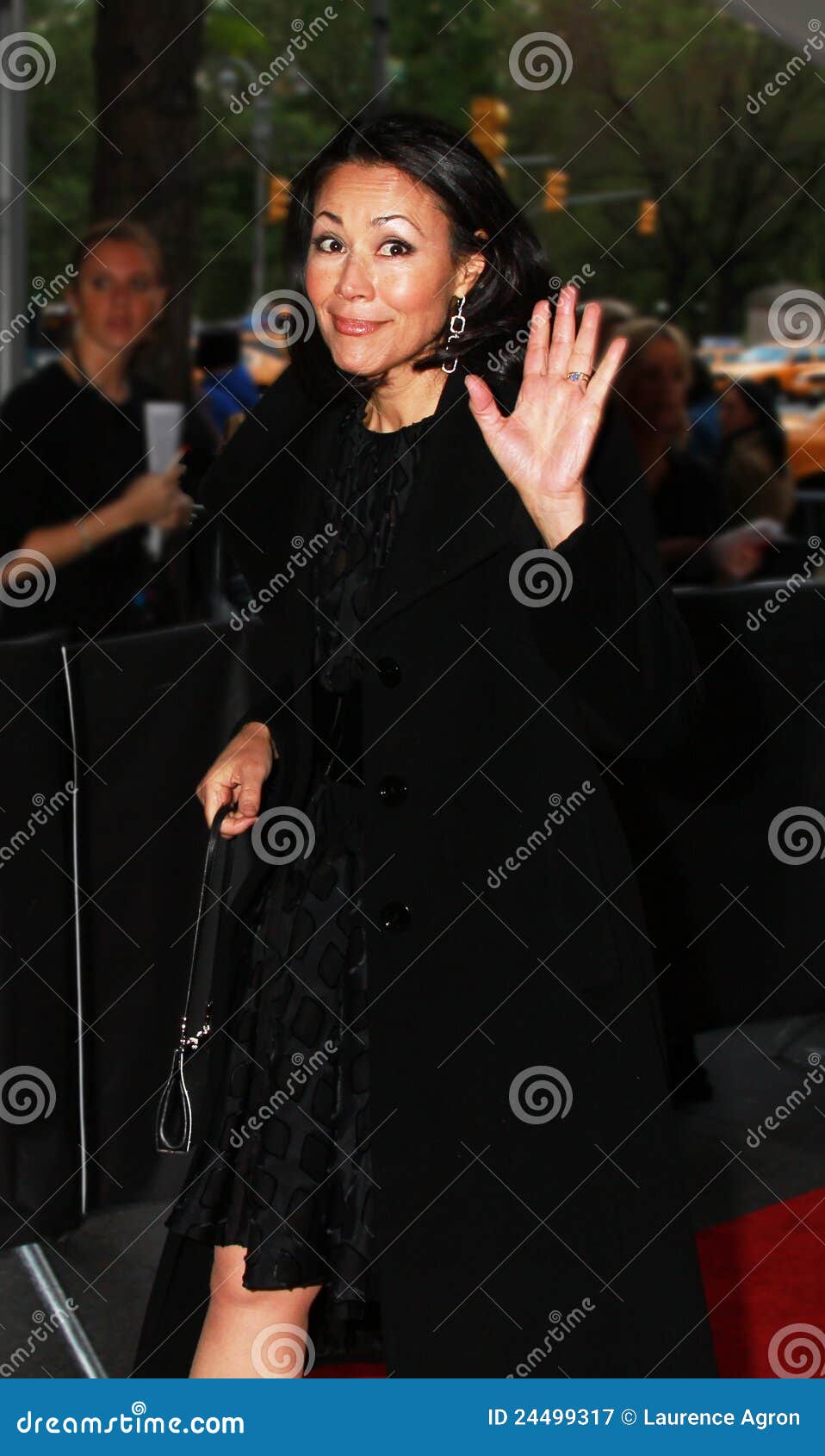 Curry de Ana fotografía editorial. Imagen de exterior - 24499317