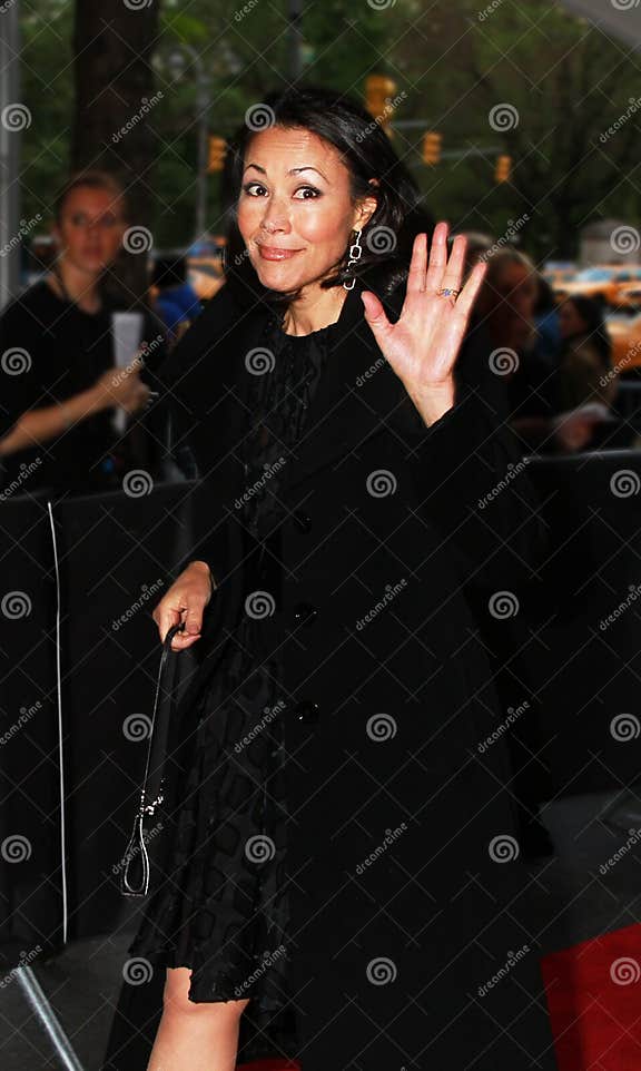 Curry de Ana fotografía editorial. Imagen de exterior - 24499317