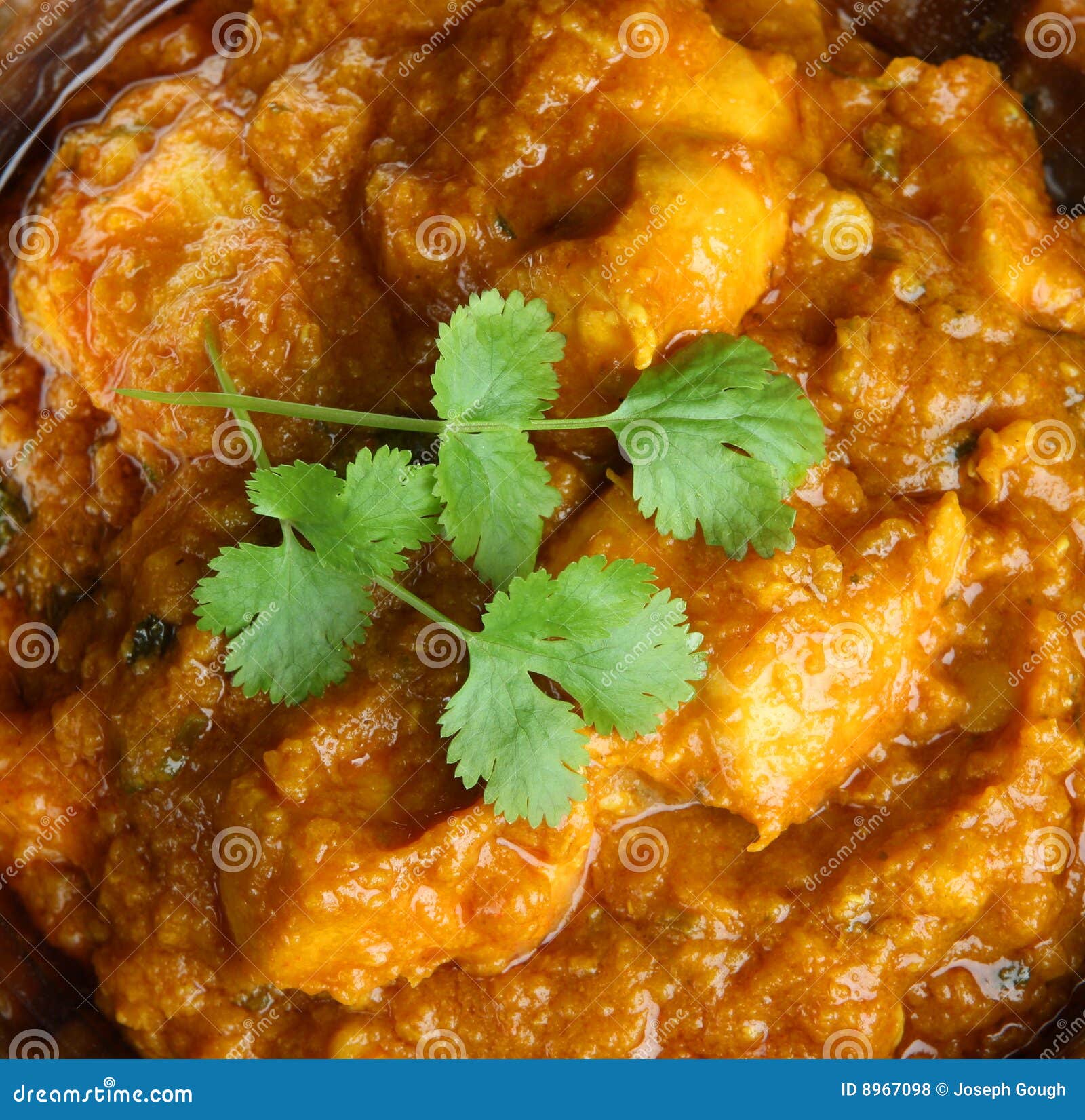 Curry indio del pollo foto de archivo. Imagen de tapa - 8967098