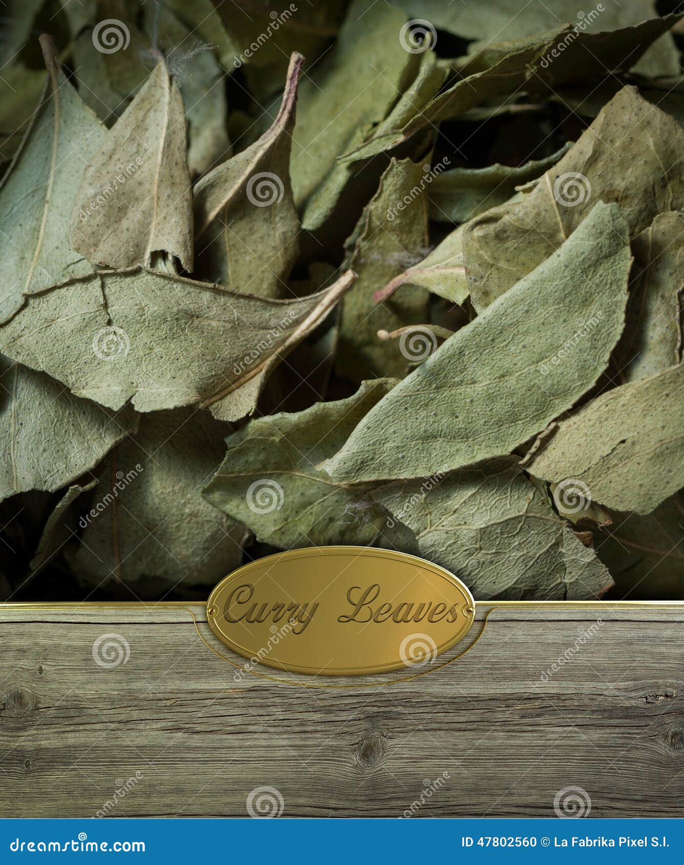 Curry leaves labeled stock photo. Image of macro, natural - 47802560