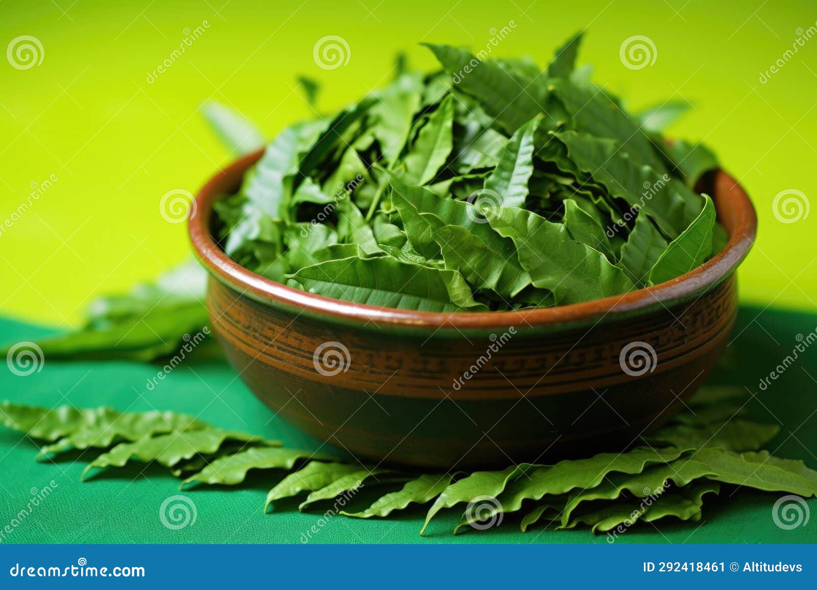 Curry Leaves on a Vivid Green Background Stock Illustration ...