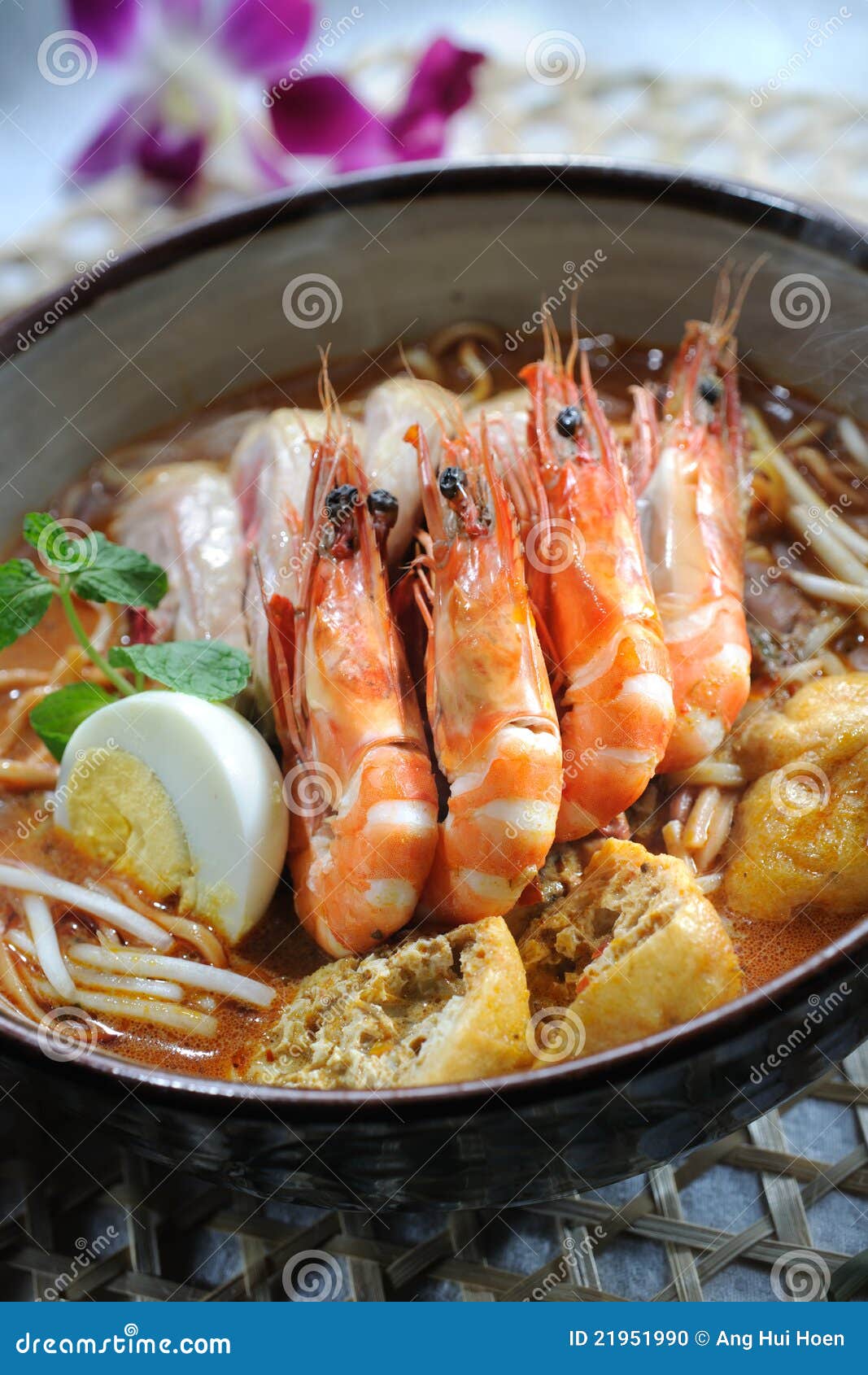 Curry mee stock photo. Image of meat, noodle, local, curry - 21951990