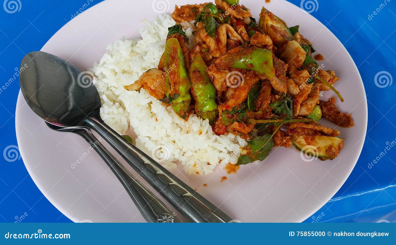 Curry pork on rice stock photo. Image of thai, rice, spicy - 75855000