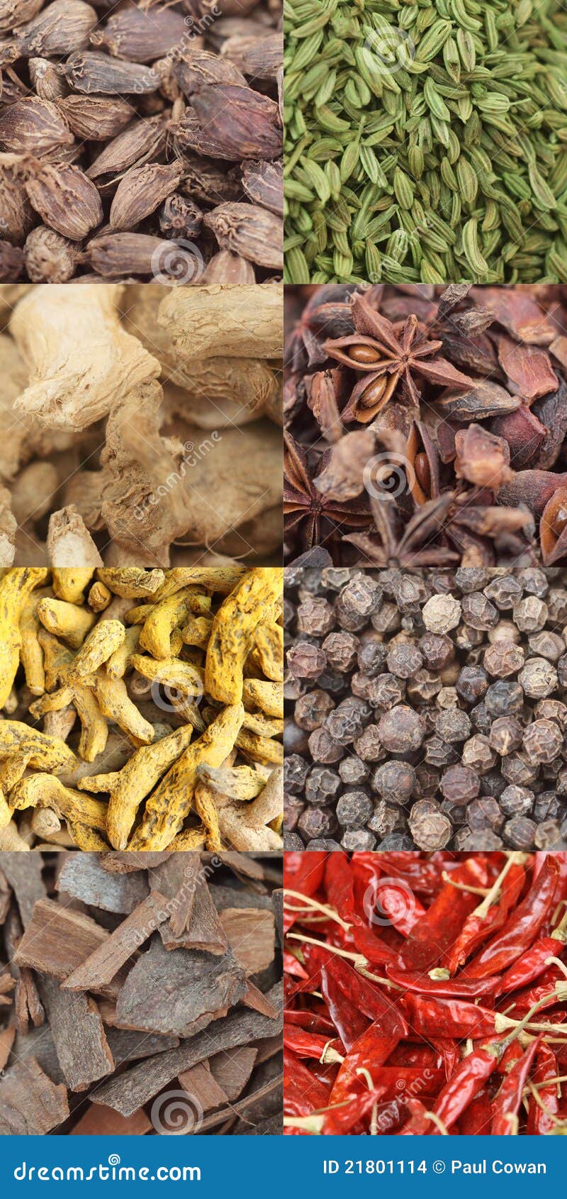 Curry spice composite stock photo. Image of asian, ginger - 21801114