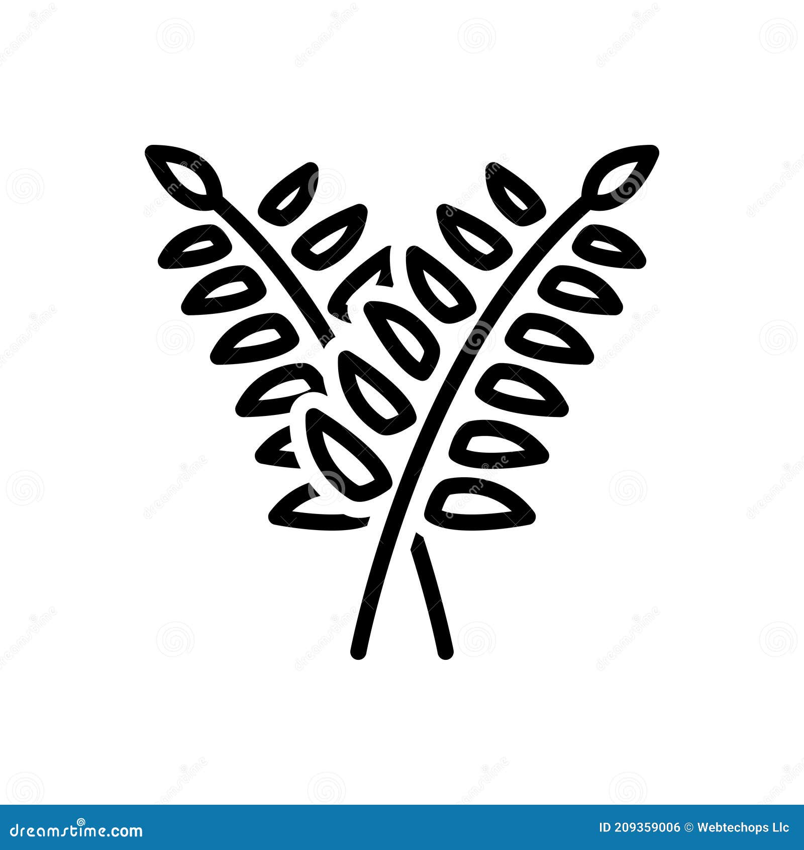 Curry Tree Murraya Koenigii , Medicinal Plant Vector Illustration ...