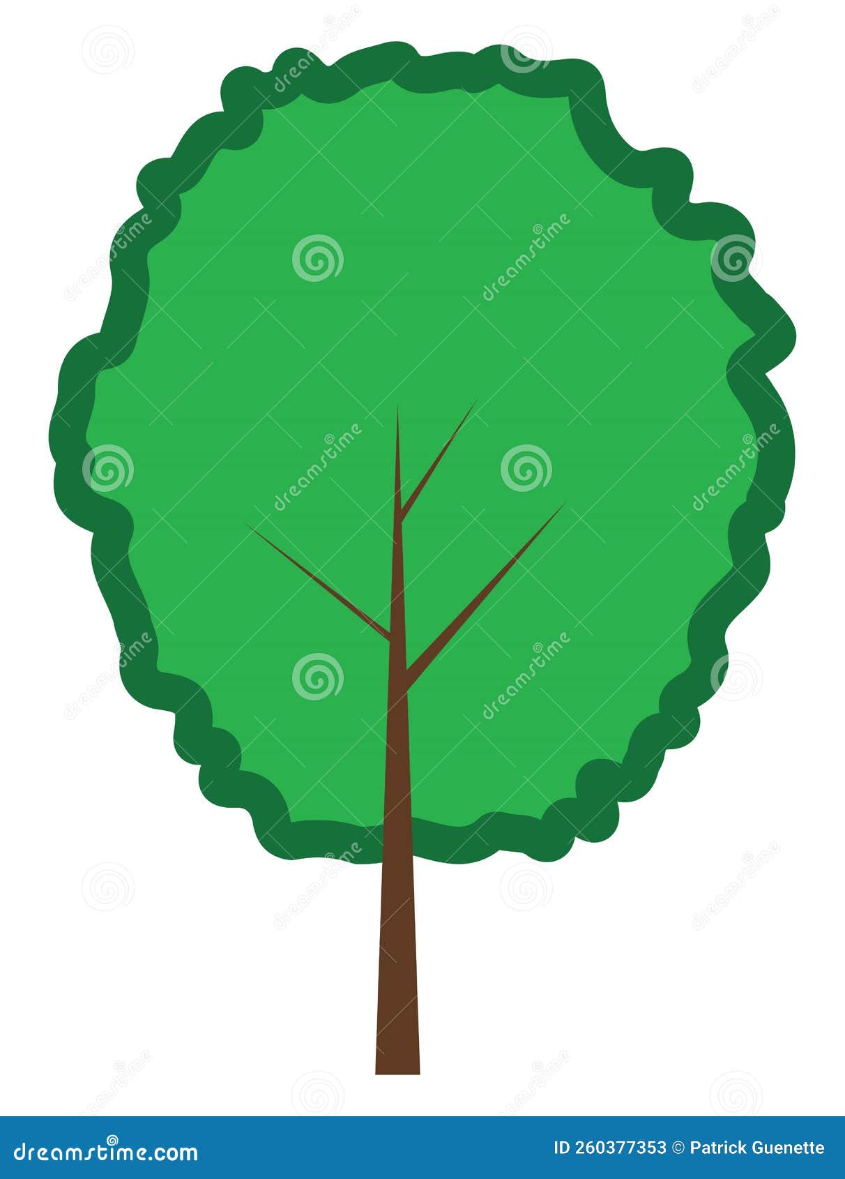 Curry Tree Murraya Koenigii , Medicinal Plant Vector Illustration ...