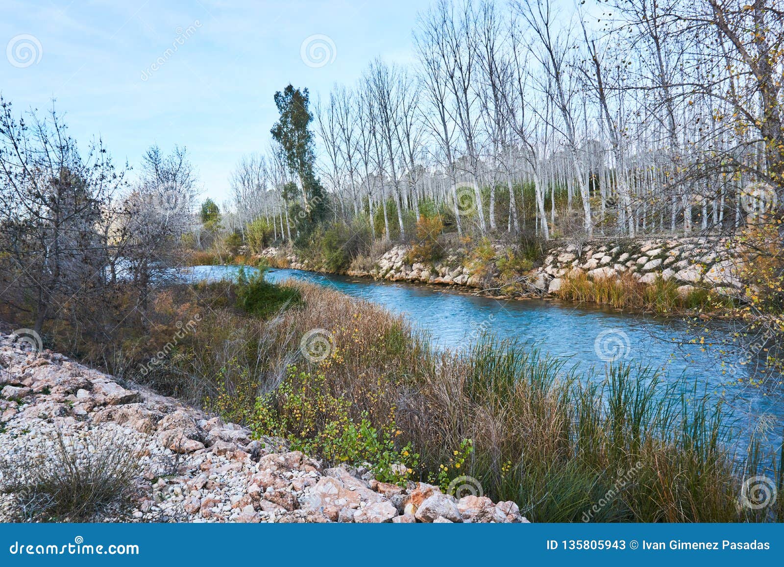 Curso do fluxo de um rio imagem de stock. Imagem de retrato - 135805943