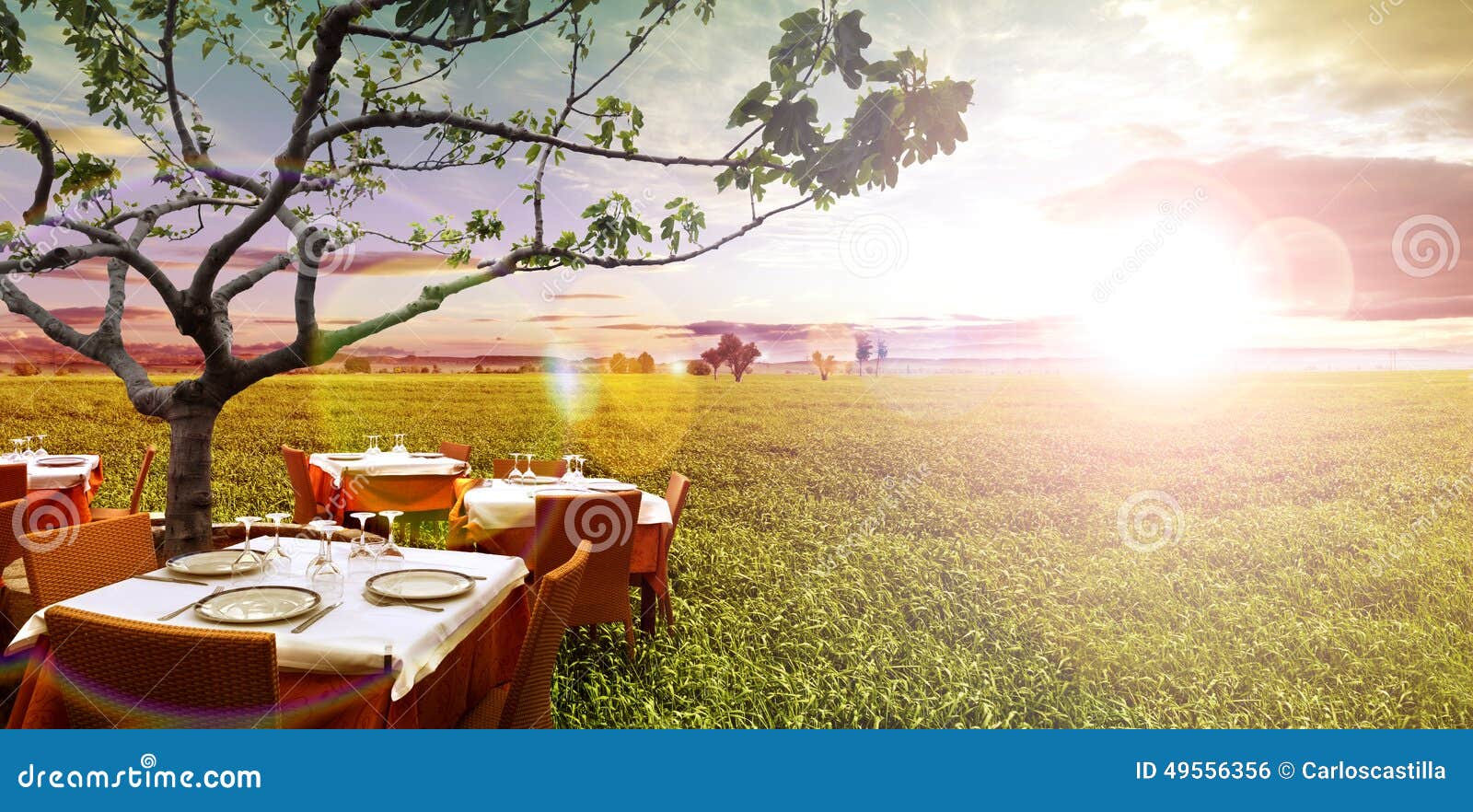 Curso E Conceito Do Restaurante Gastronomy Foto de Stock - Imagem de ...