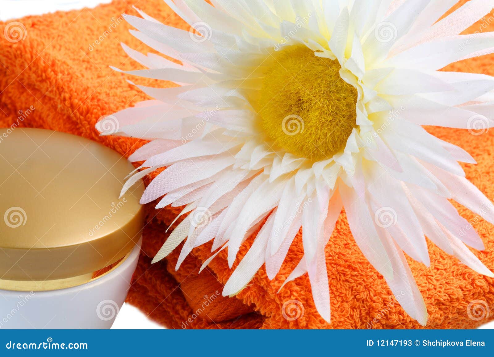 Curtailed Terry Towels and Camomile Stock Image - Image of petals ...