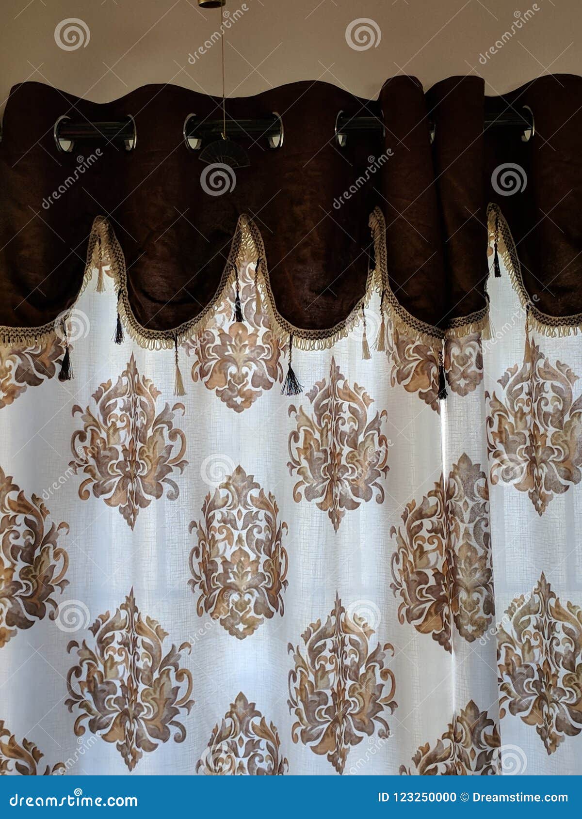 Curton stock photo. Image of white, curton, color, brown - 123250000