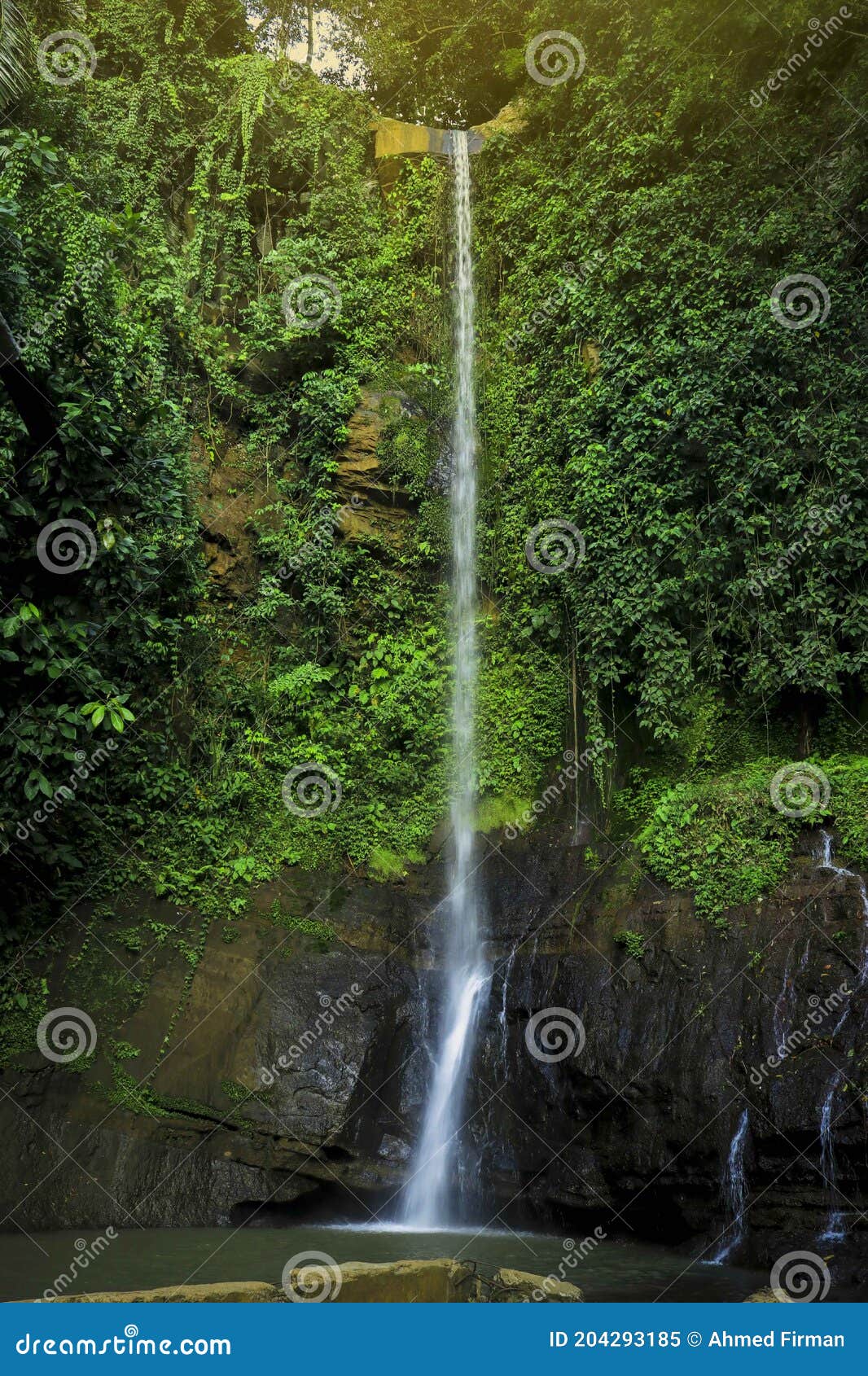Curug Cigumawang stock image. Image of waterfall, plant - 204293185