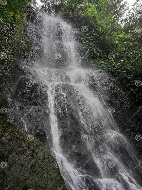 Curug Cilember waterfall stock image. Image of jungle - 270441503