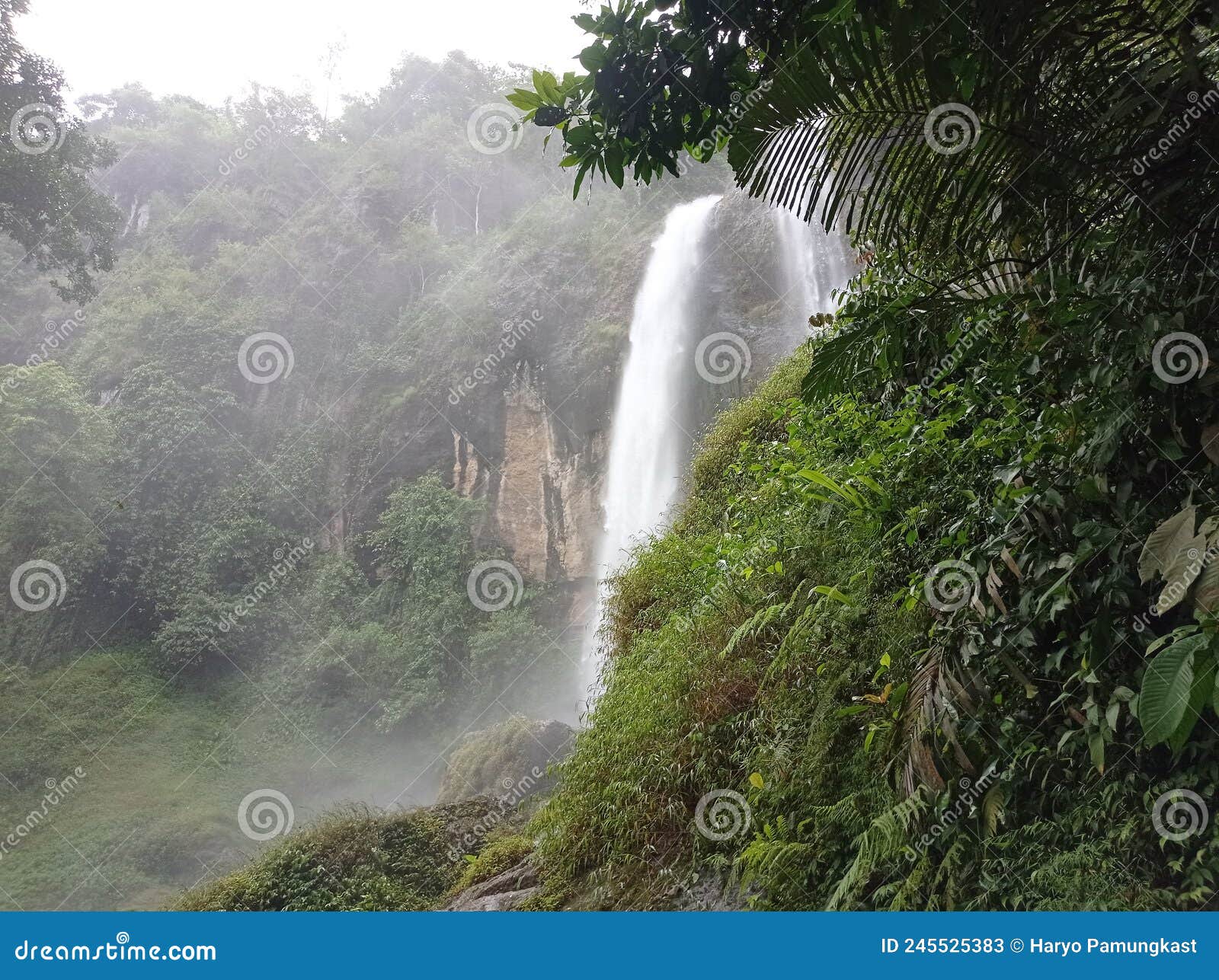 Curug muncar waterfall stock image. Image of kaliwungu - 245525383