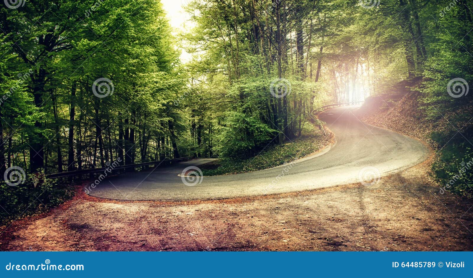 Curva Grande Na Floresta Com Luz Solar Imagem de Stock - Imagem de ...