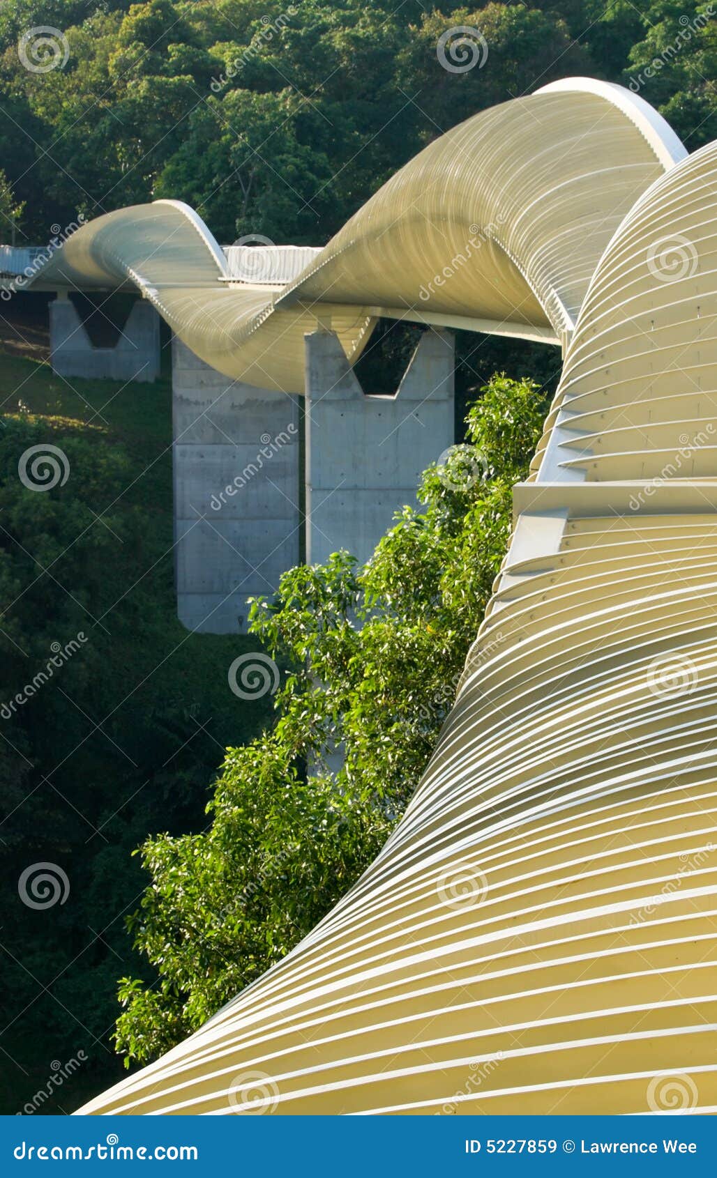 Curvas sinuosas imagen de archivo. Imagen de puente, sinuoso - 5227859