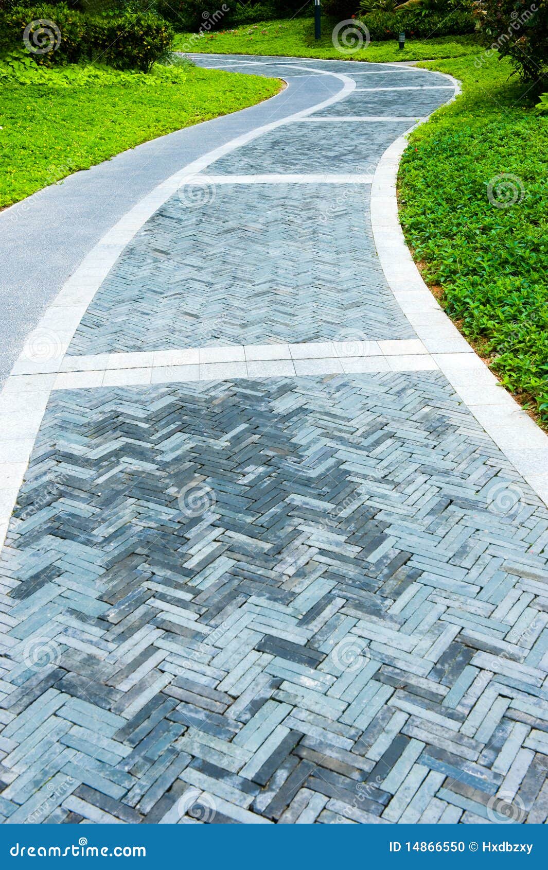 Curve brick path in garden stock photo. Image of beauty - 14866550