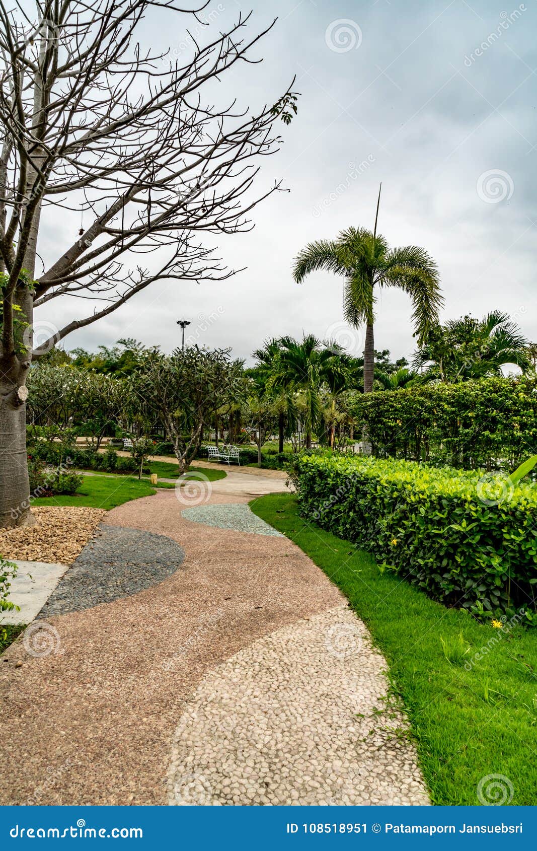 Concrete Pathway in the Park Stock Image - Image of outdoor, walk ...