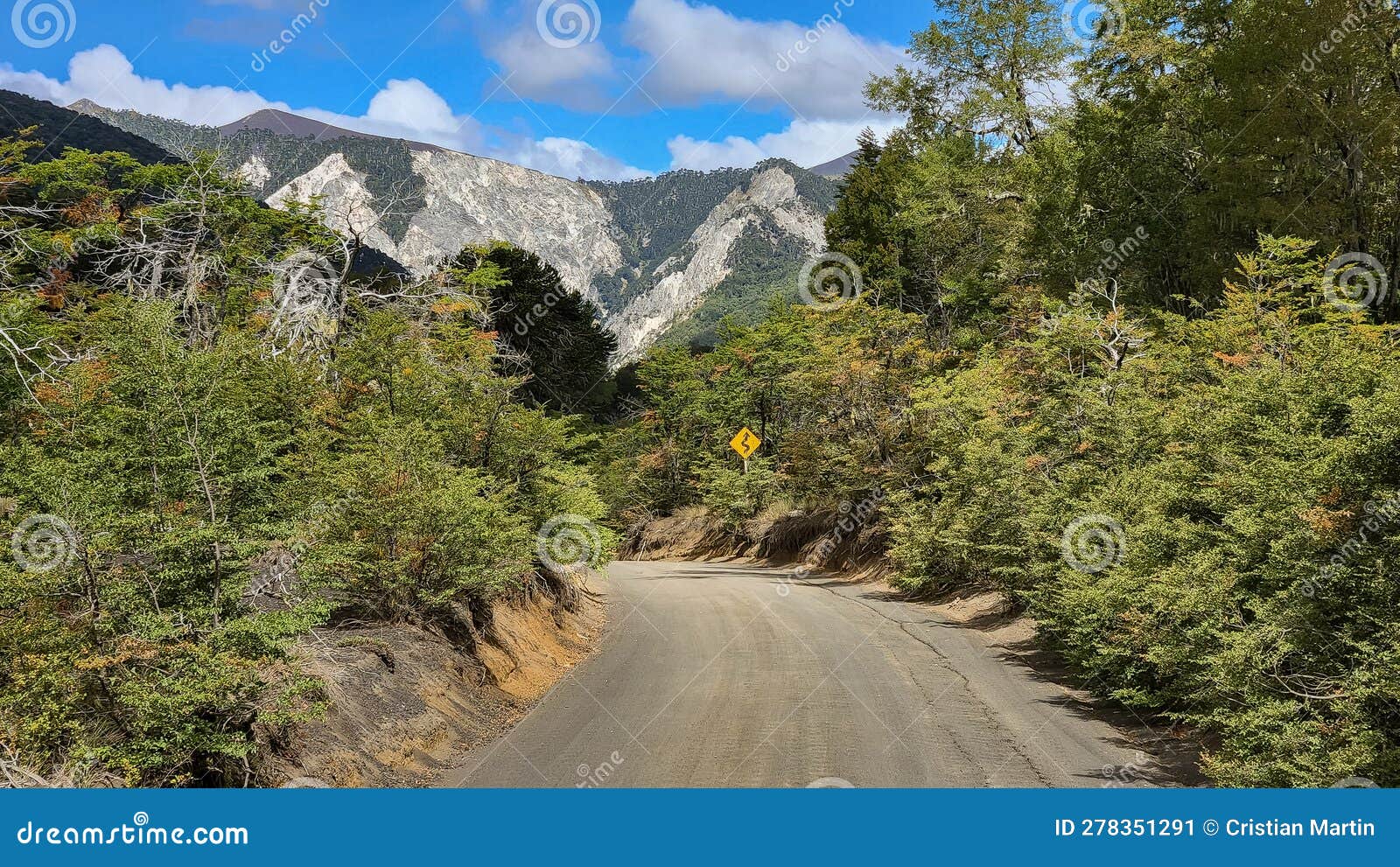 Curve on Dirt Road in Mountainous Forest Stock Image - Image of road ...