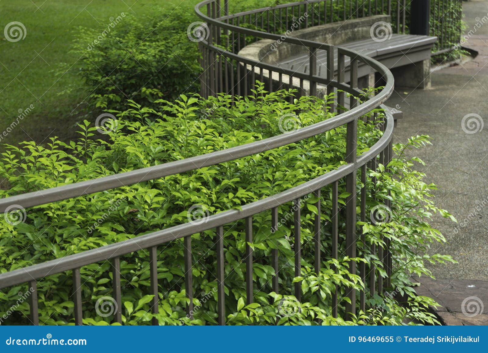 Curve Fence and Green Trees in the Park Stock Image - Image of grass ...