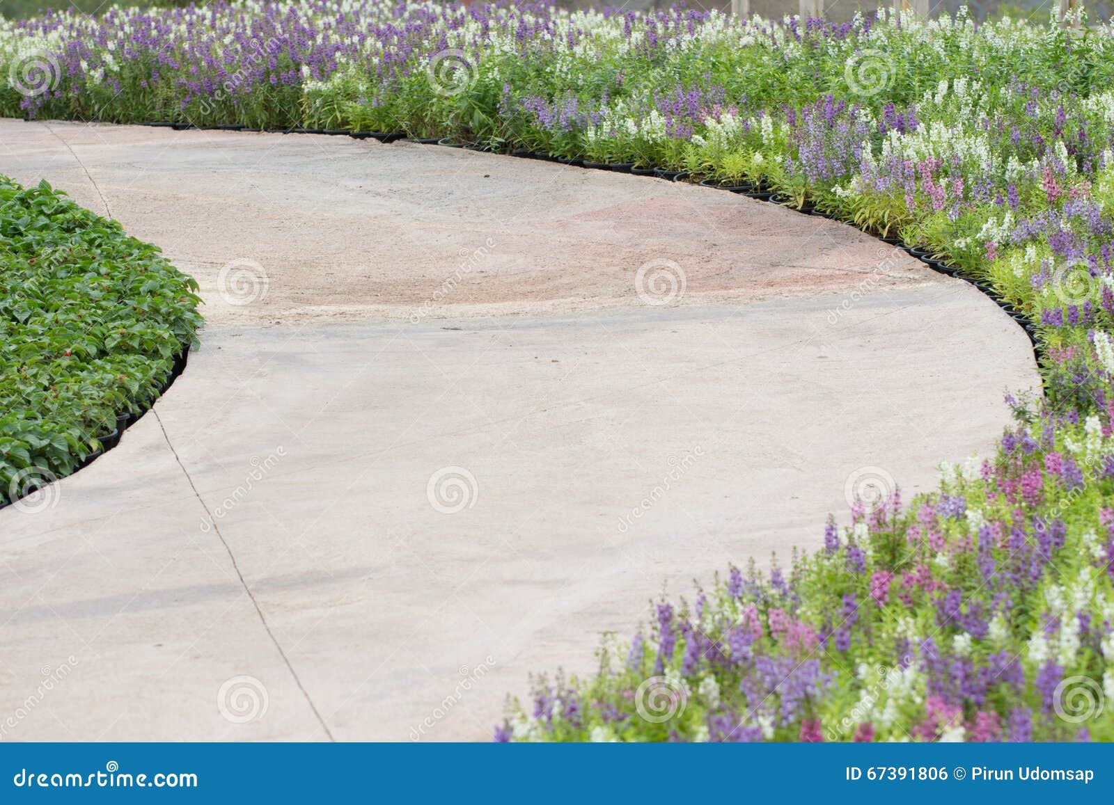 Curve footpath stock photo. Image of construction, park - 67391806