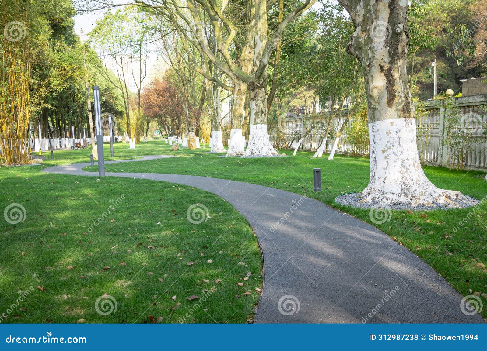 Curve garden path in park stock photo. Image of boulevard - 312987238