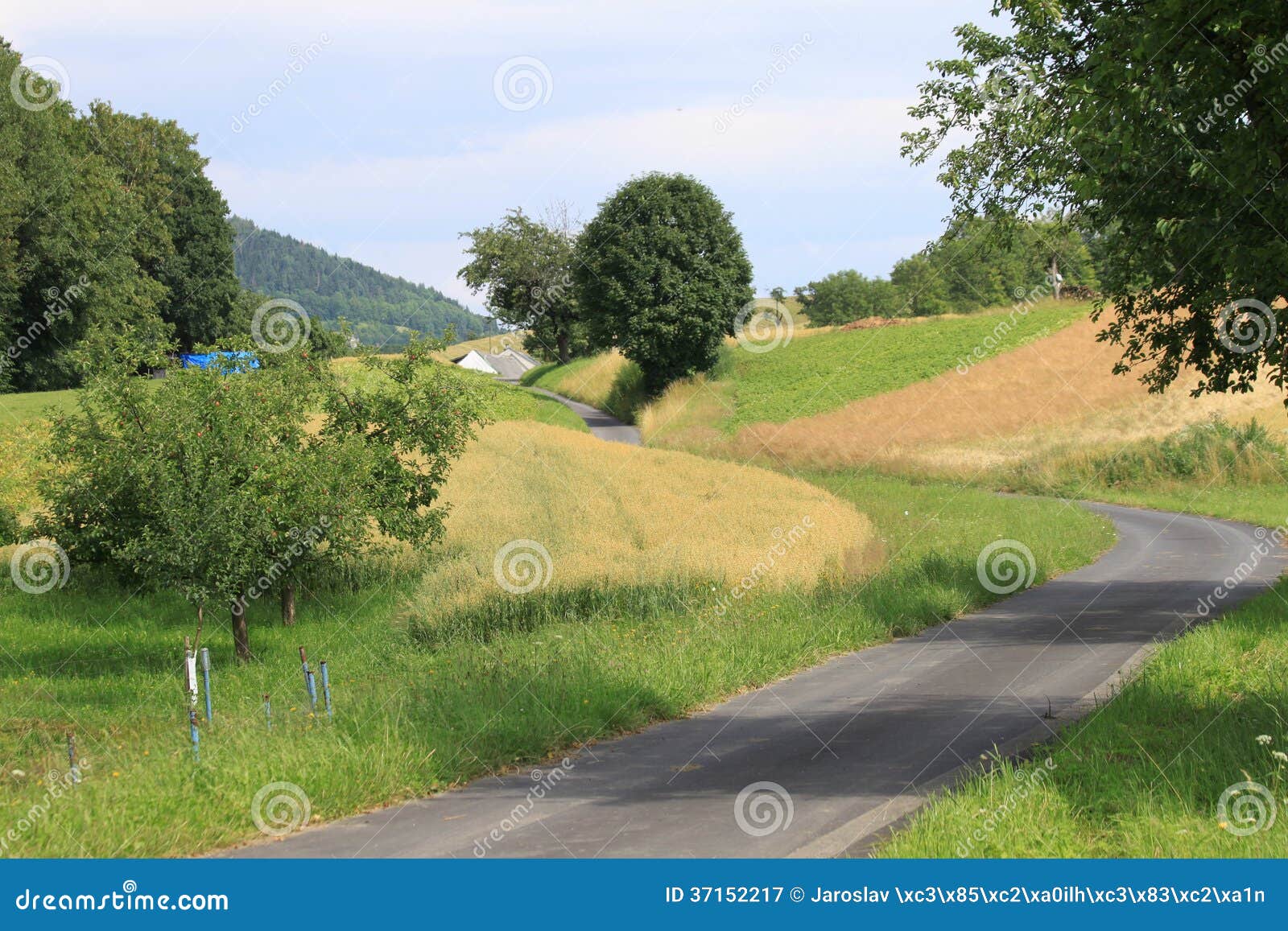 Curve path stock image. Image of meadow, garden, path - 37152217