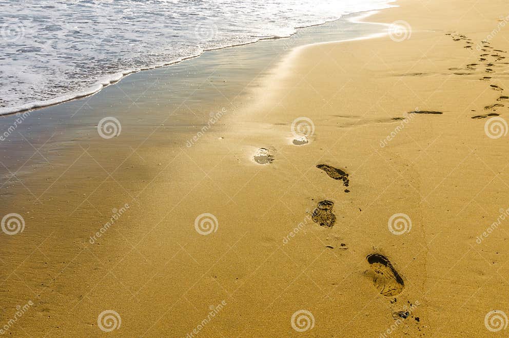 Curve Path of Footprints on a Sandy Beach Stock Image - Image of ...