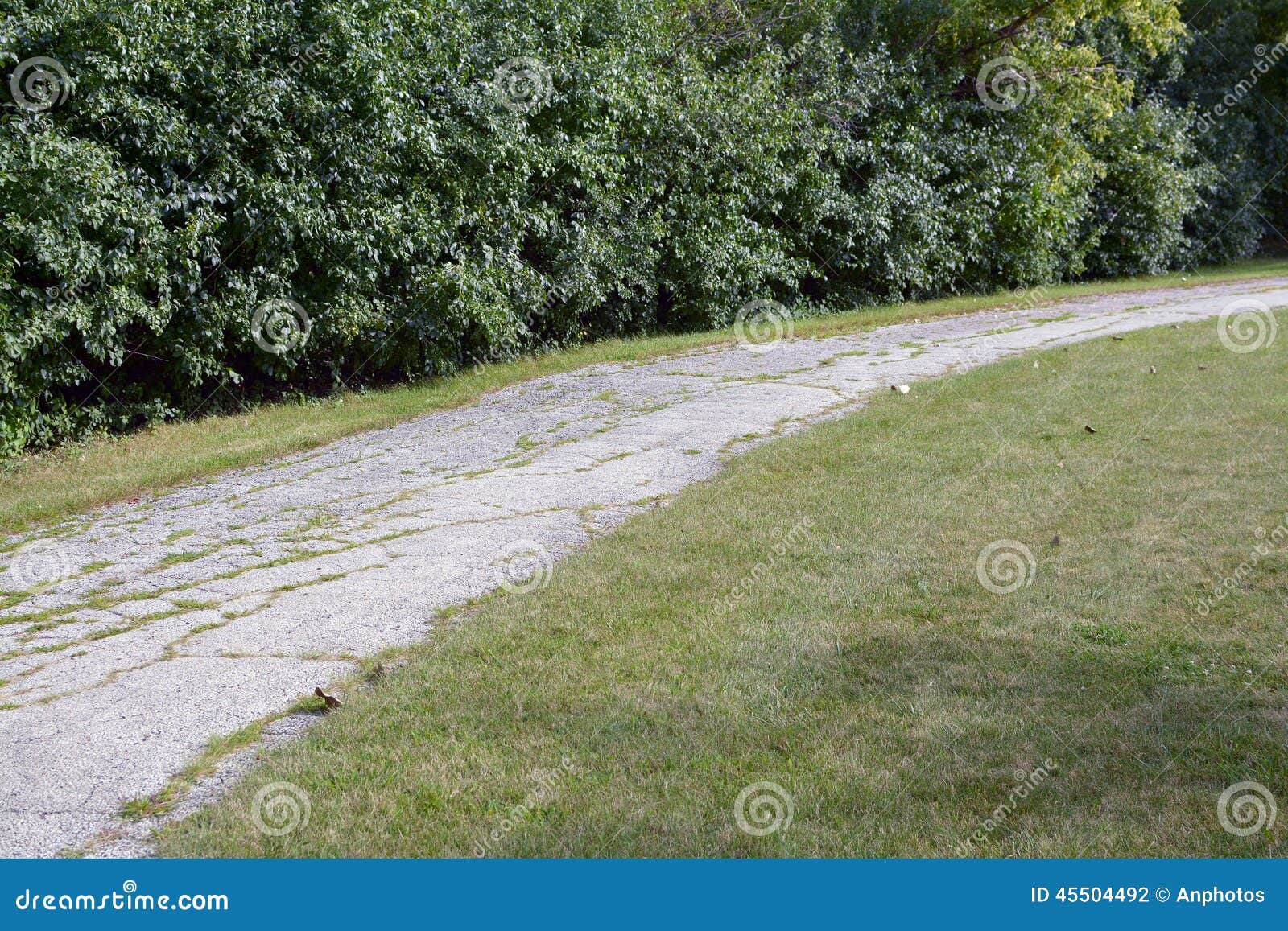 Curve path stock photo. Image of green, lawn, route, grass - 45504492
