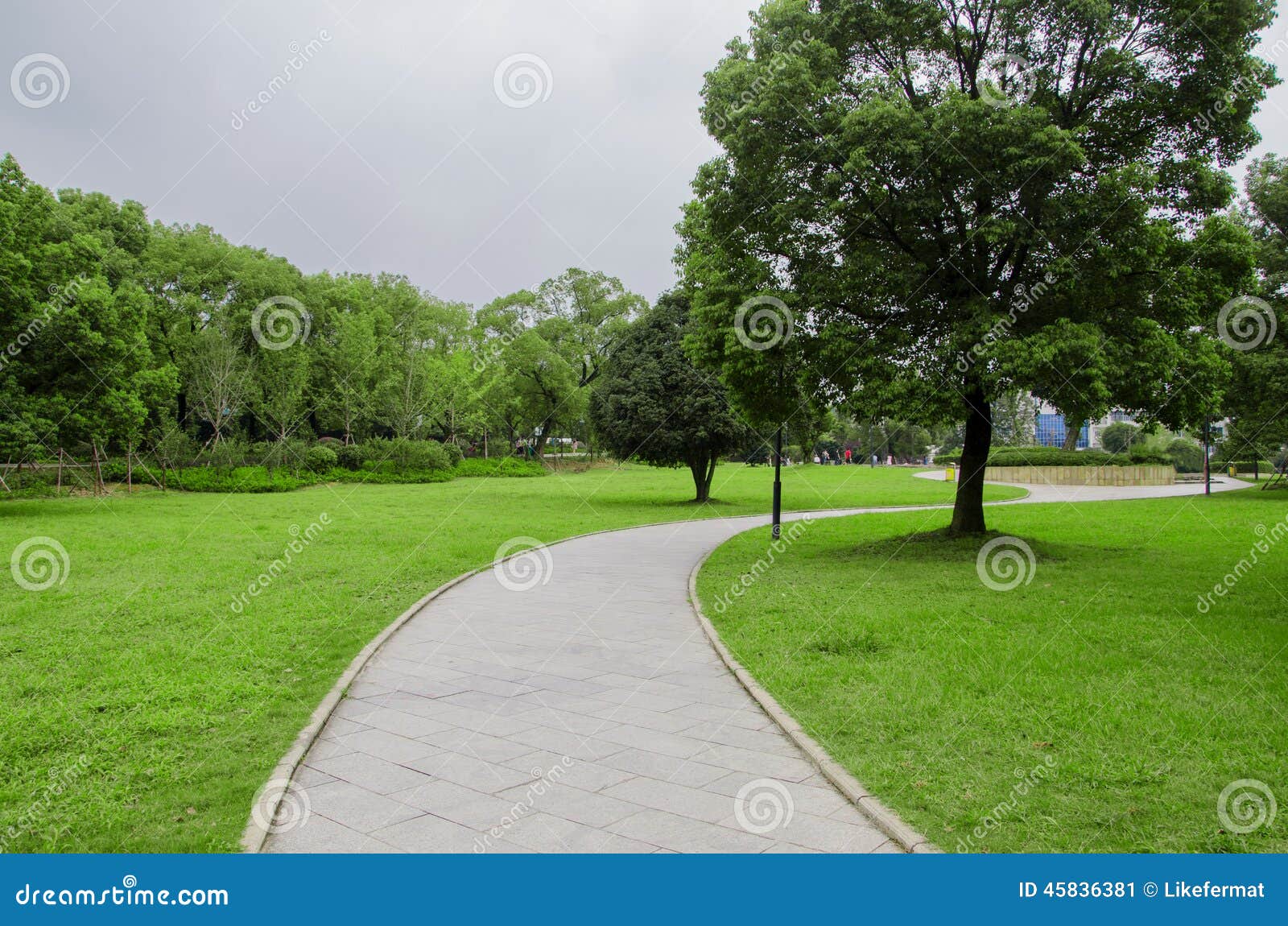Curve path stock image. Image of field, empty, landscape - 45836381