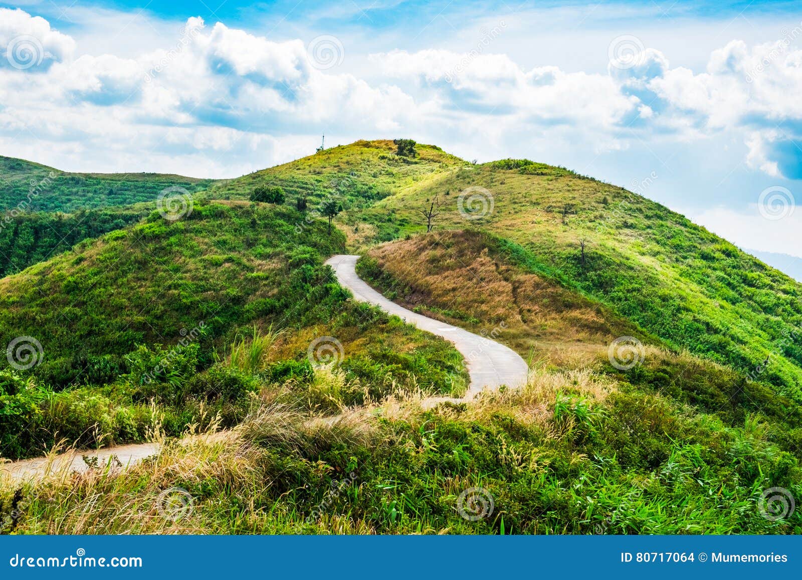 Curve Path on the Peak Mountain Stock Photo - Image of beauty, bright ...