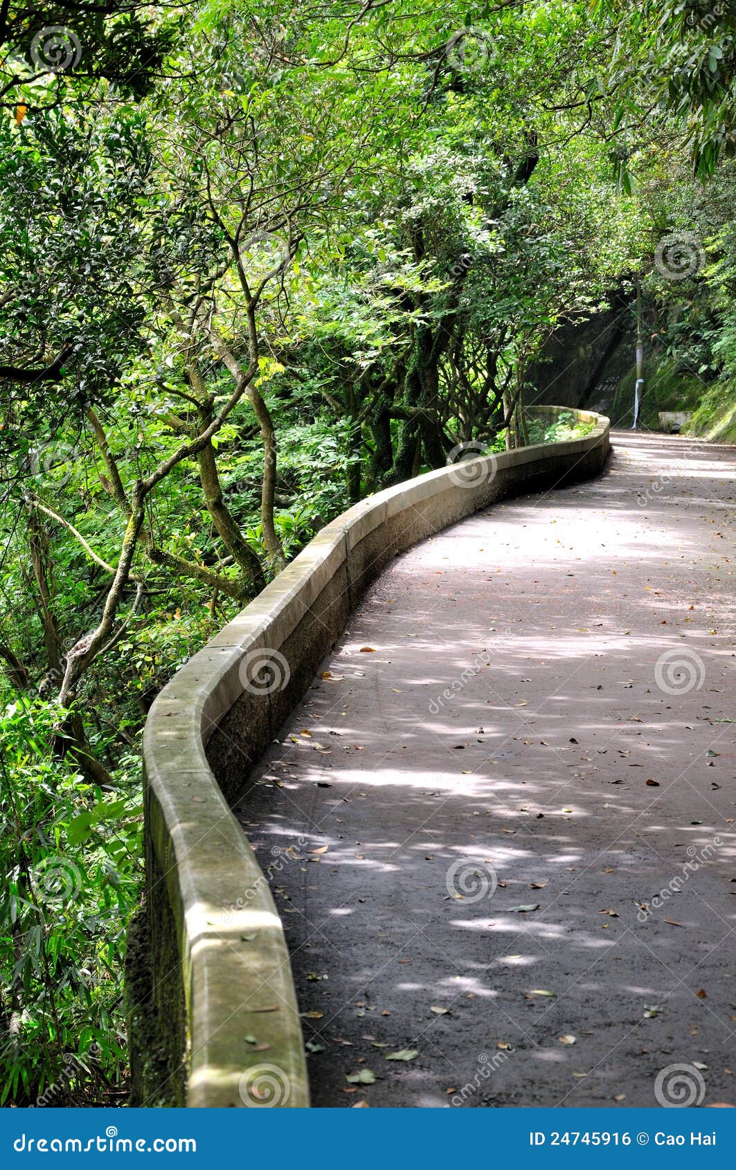 Curve Path Surround with Green Plant Stock Photo - Image of peace ...