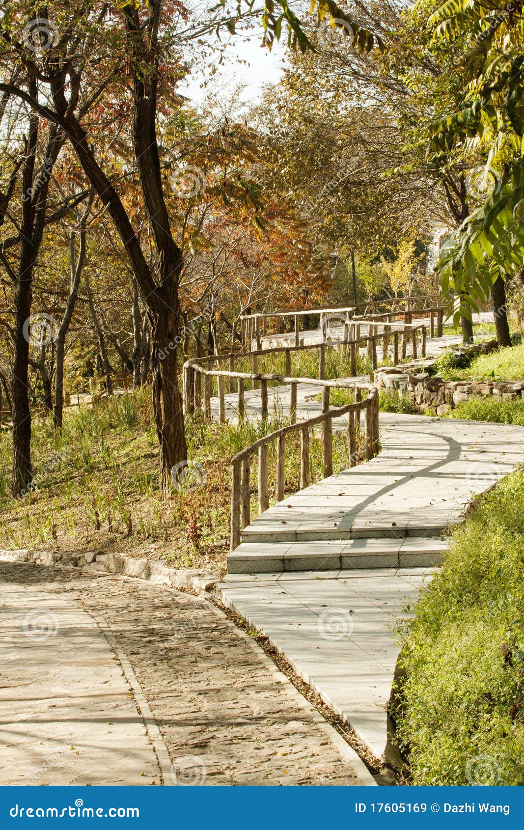Curve Path in wood stock image. Image of hill, autumn - 17605169