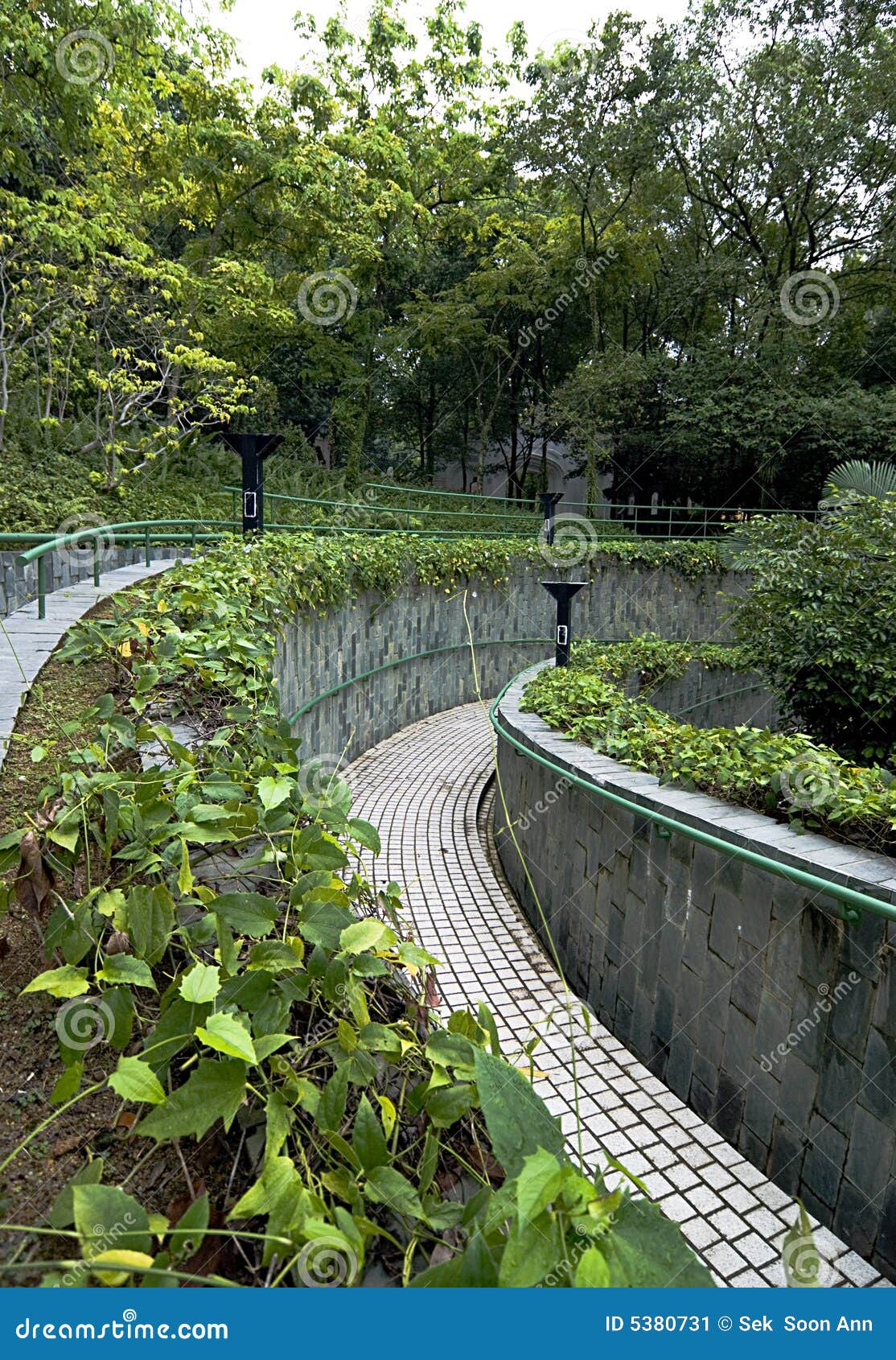 Curve Pathway Picture. Image: 5380731