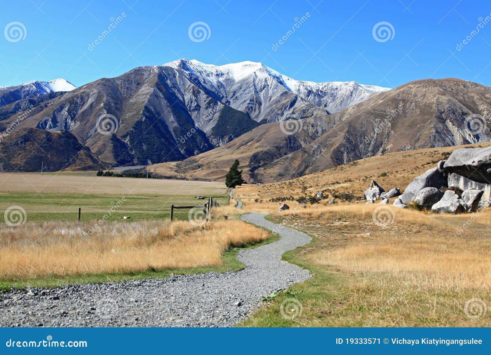 Pathway On A Hill With Wildflowers Stock Image | CartoonDealer.com ...