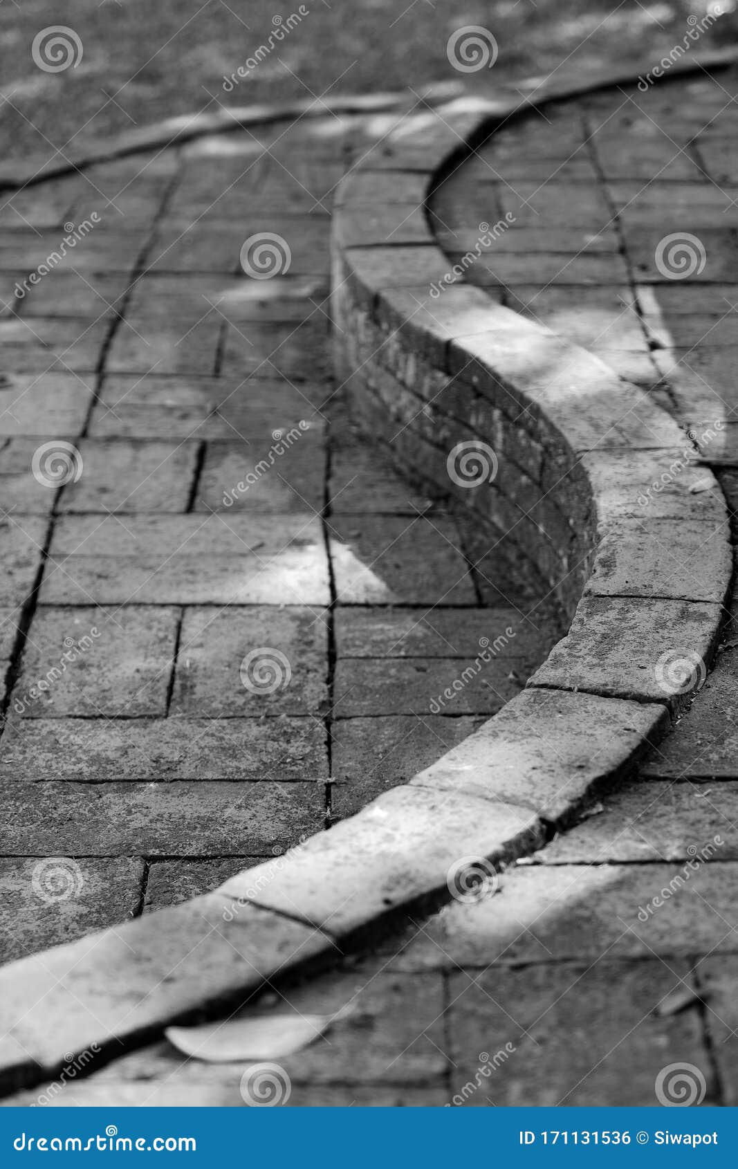 Curve Pattern Bricks Walking Pathway Landscape Design Stock Photo ...