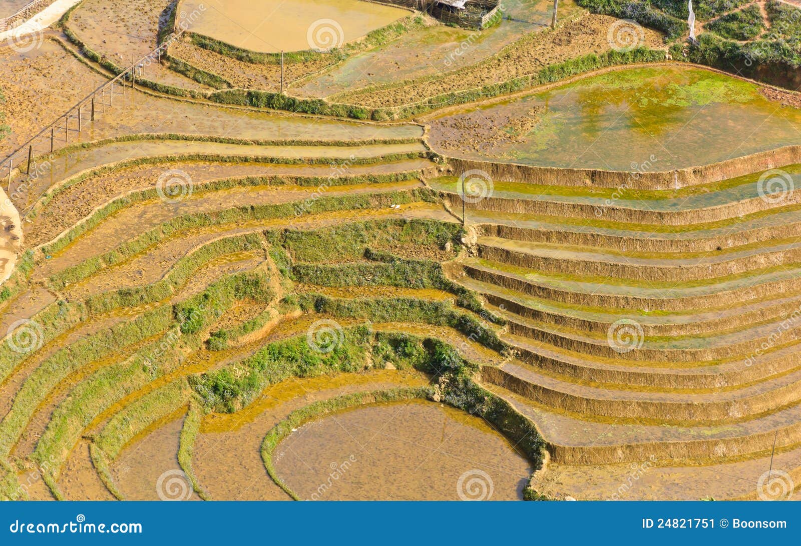 Curve of Rice Terraced Fields Stock Image - Image of countryside, hill ...