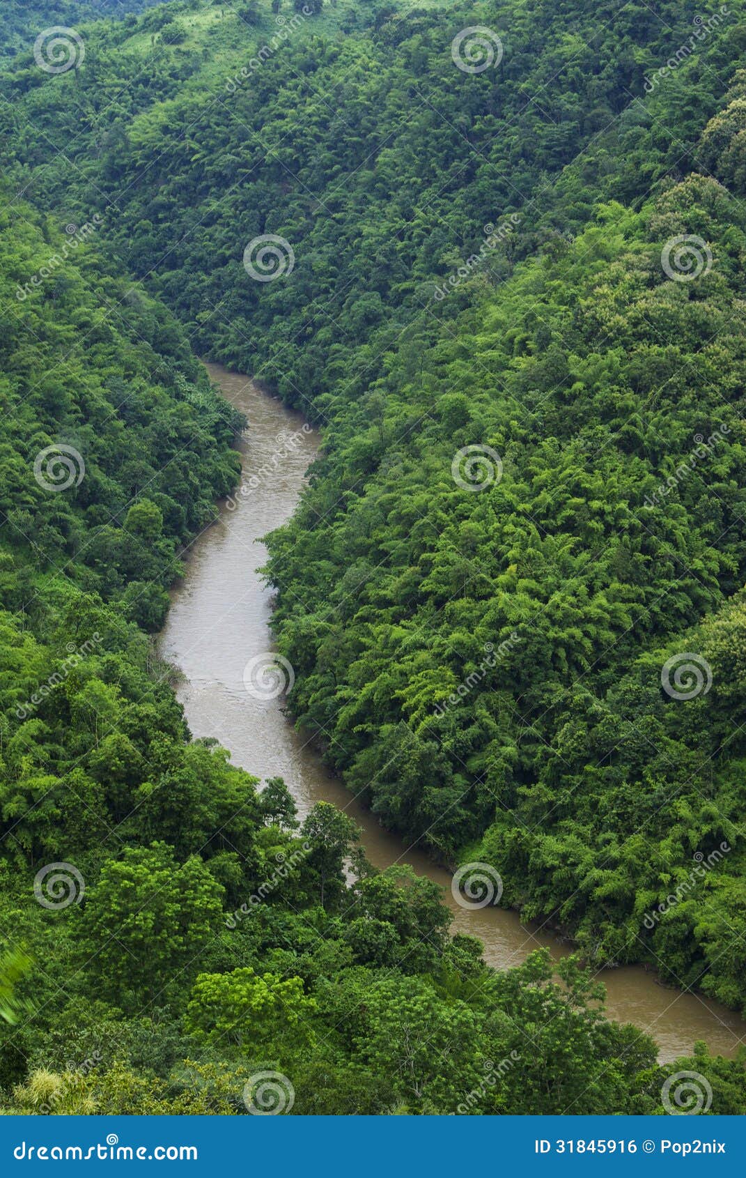 Curve river stock photo. Image of peace, clear, nature - 31845916