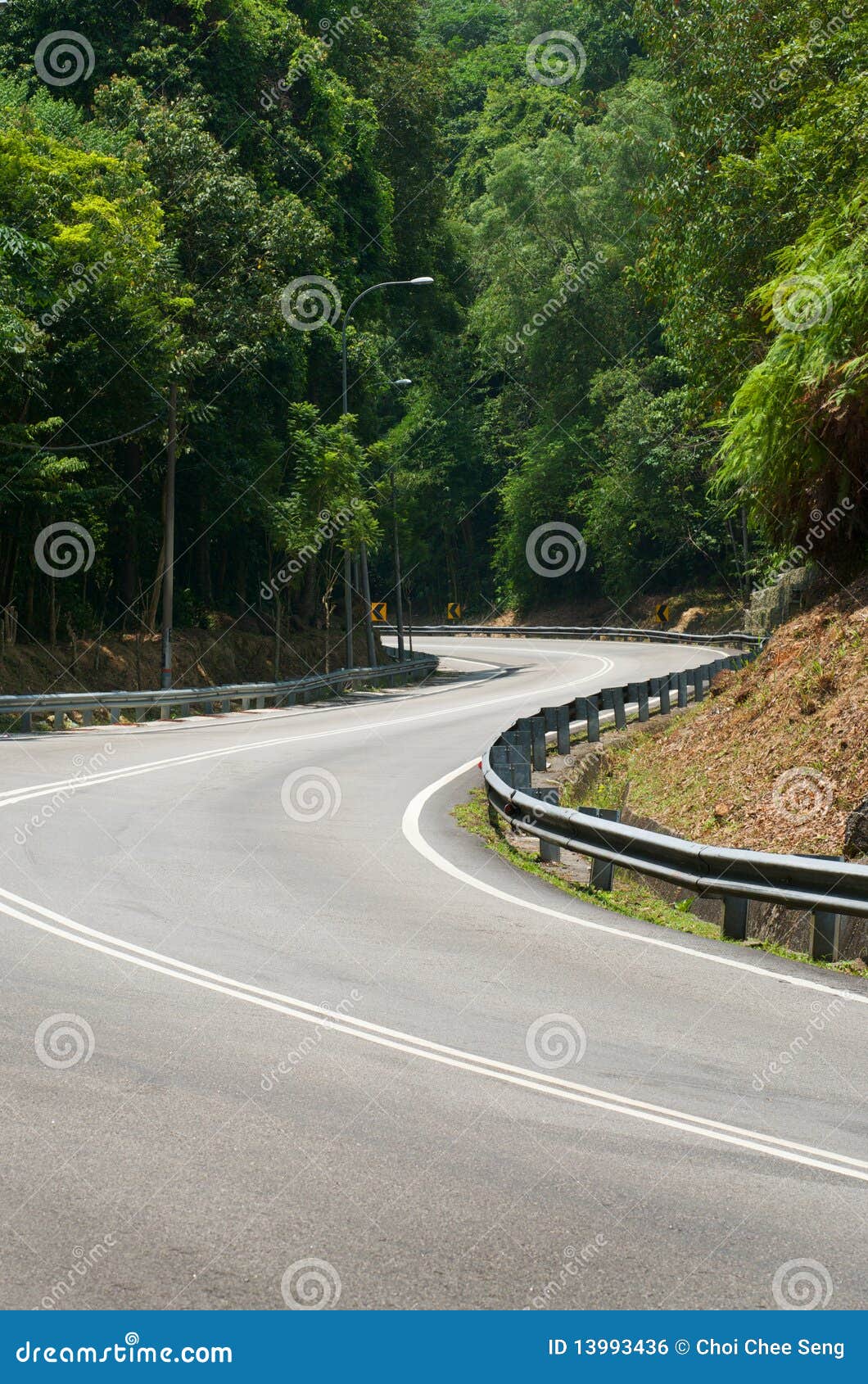 Curve road stock photo. Image of tarmac, curve, tree - 13993436