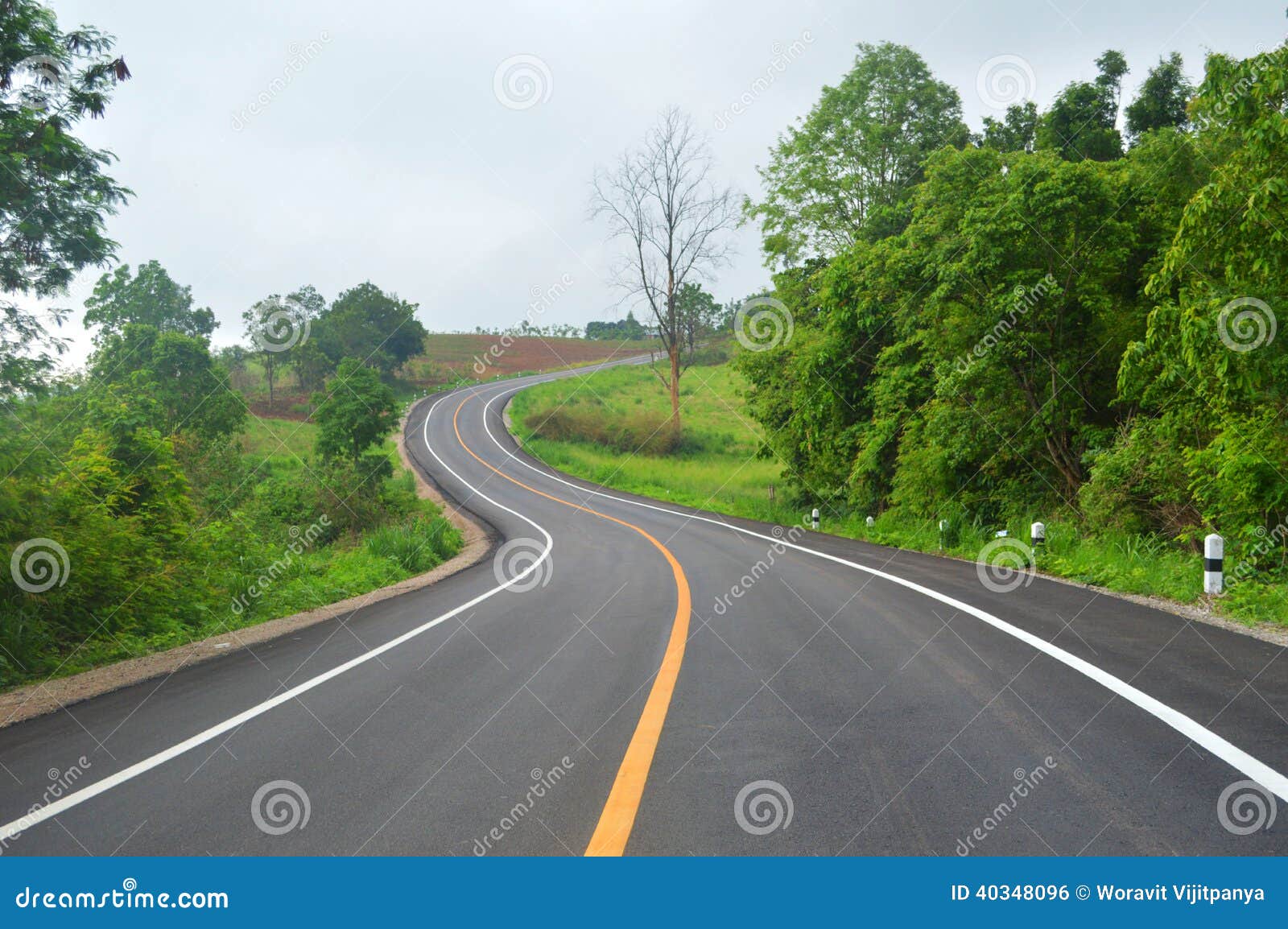 Curve in the road stock photo. Image of nature, background - 40348096