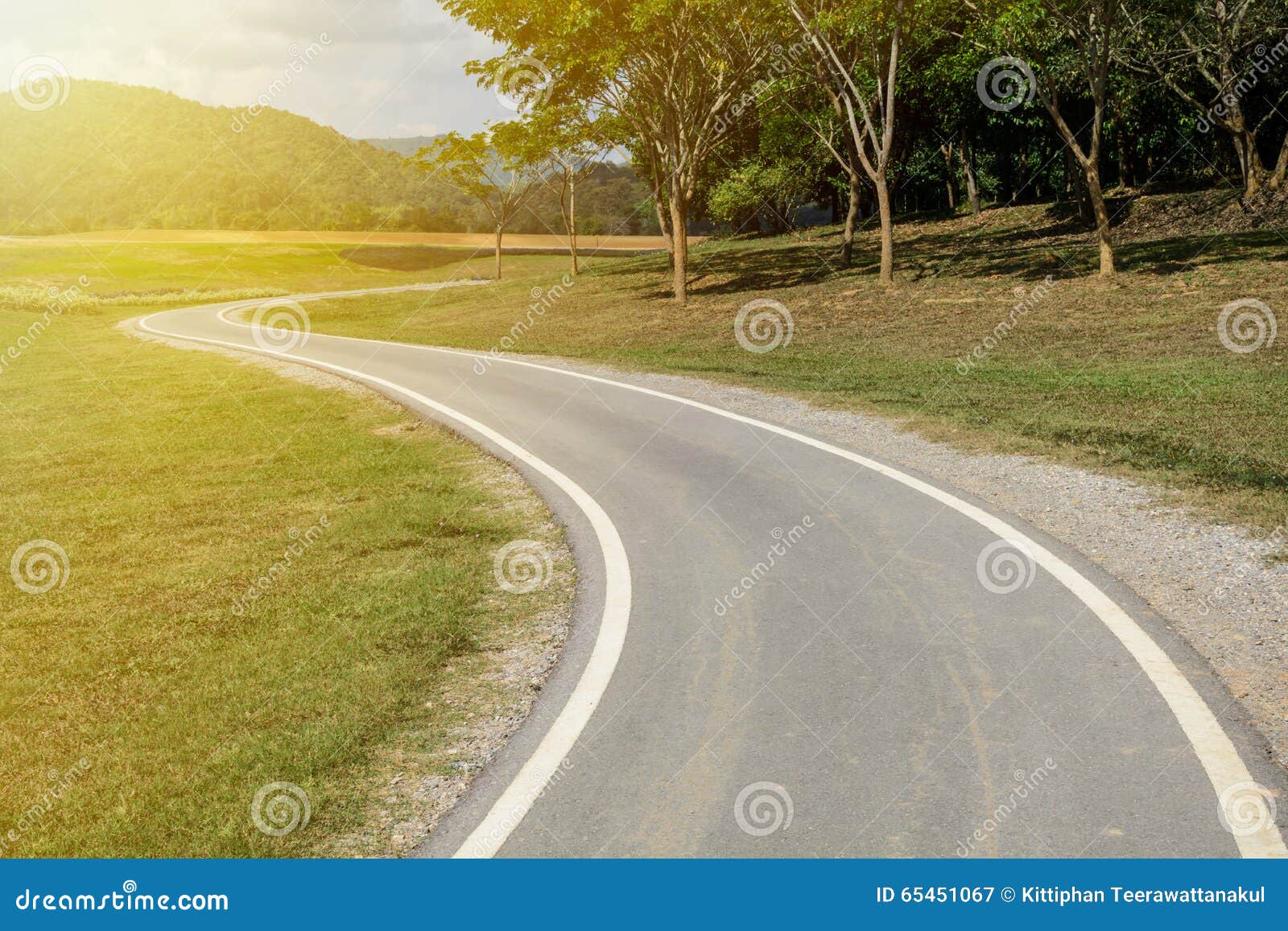 Curve Road and Bicycle Lane Stock Image - Image of direction, garden ...