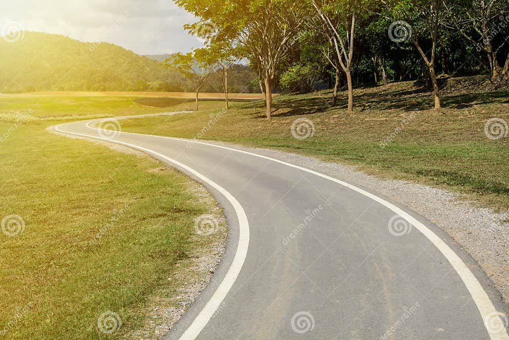 Curve Road and Bicycle Lane Stock Image - Image of direction, garden ...