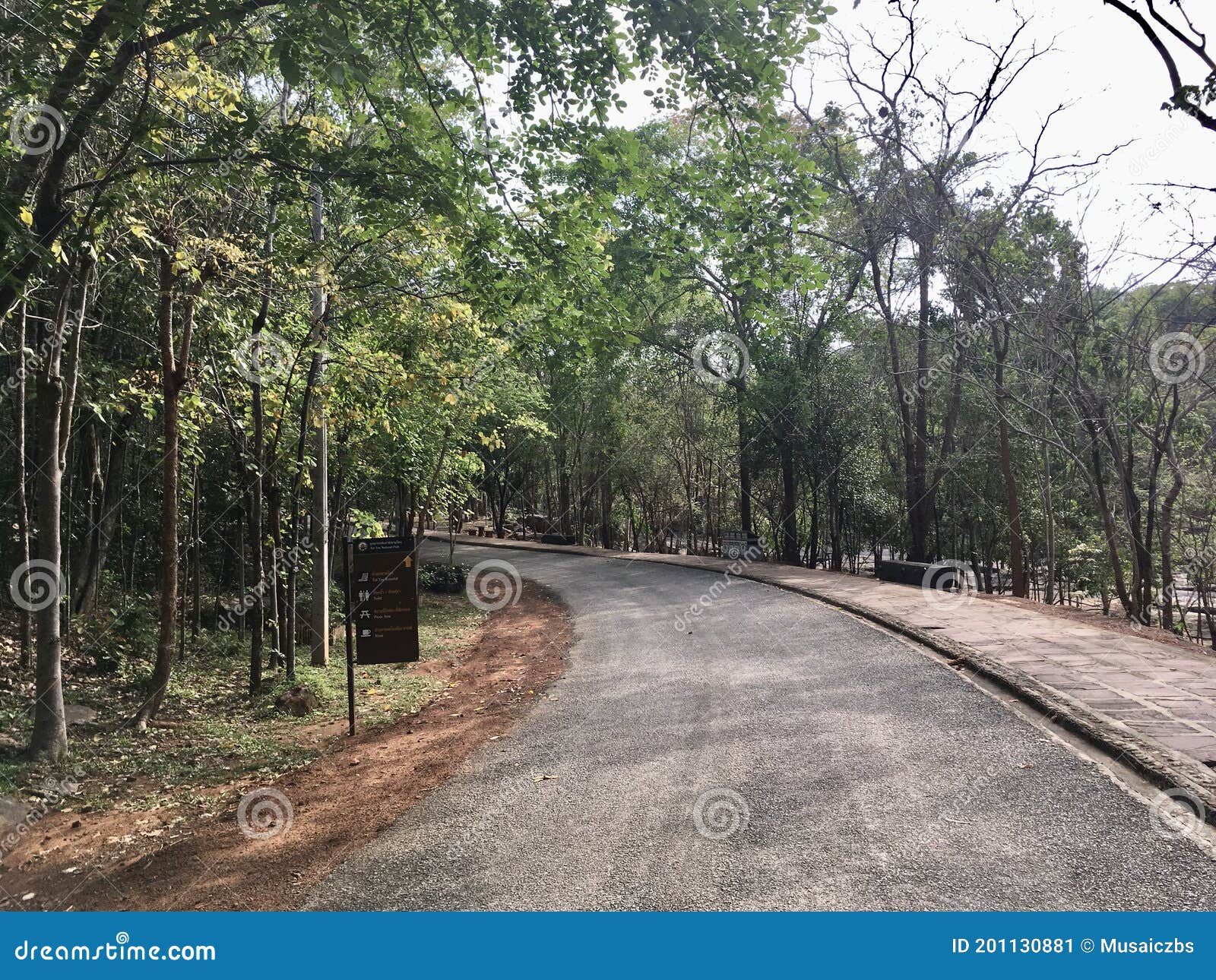 Curve Road Going through Sideways the Forest Stock Image - Image of ...