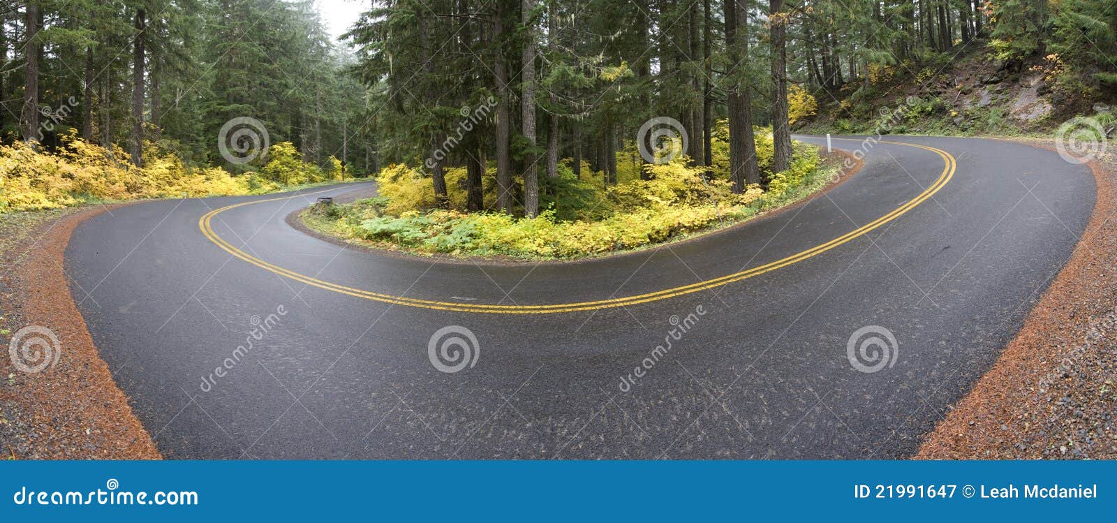 Curve Road Stock Photo | CartoonDealer.com #42778812