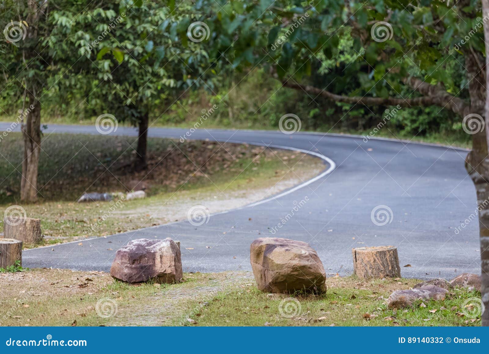 Curve road in park stock photo. Image of shady, stump - 89140332