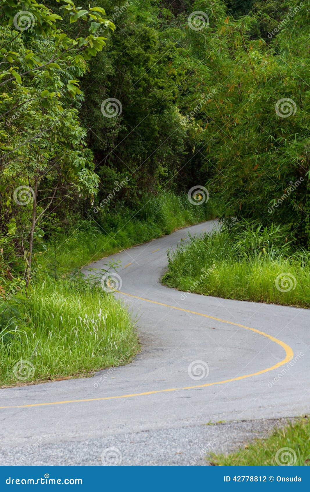 Curve road stock photo. Image of abundant, autumn, fresh - 42778812