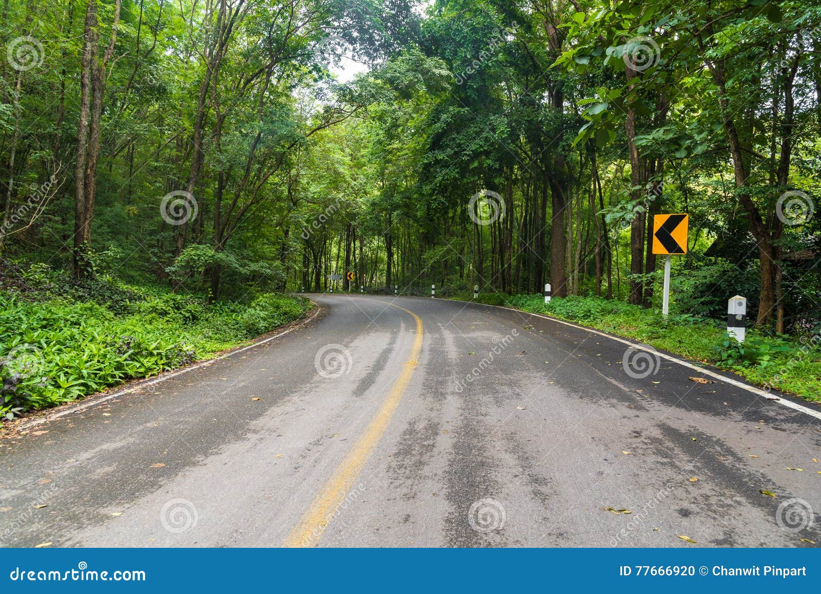 Curve Road Up Hill in Rain Forest Stock Photo - Image of environment ...