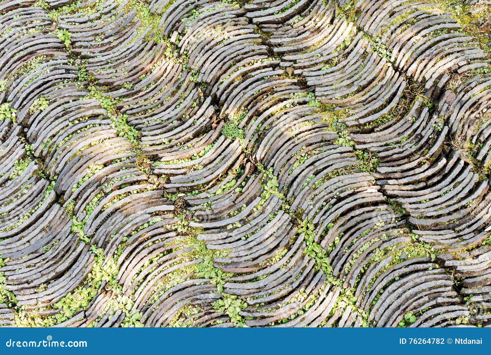 Curve Shape Stone Path Arrange on Floor Stock Photo - Image of design ...