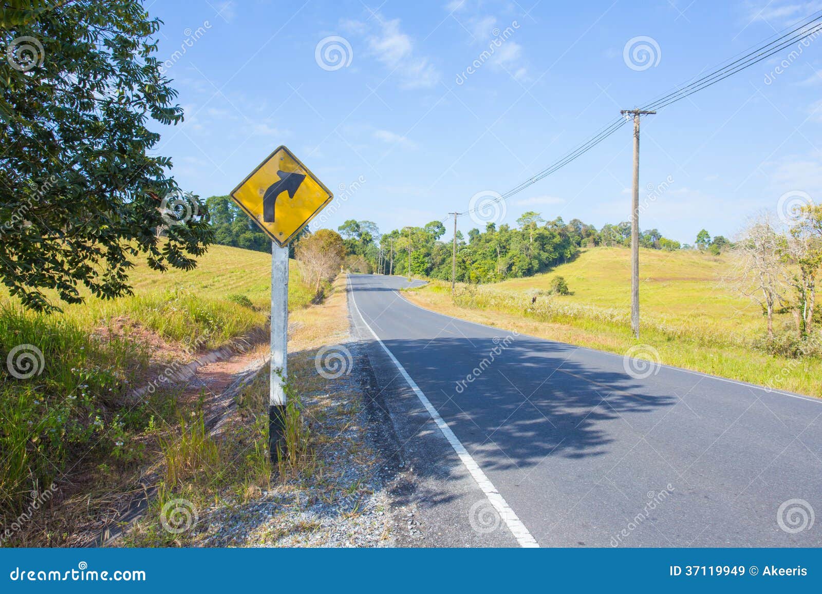 Curve signage stock image. Image of route, road, forest - 37119949