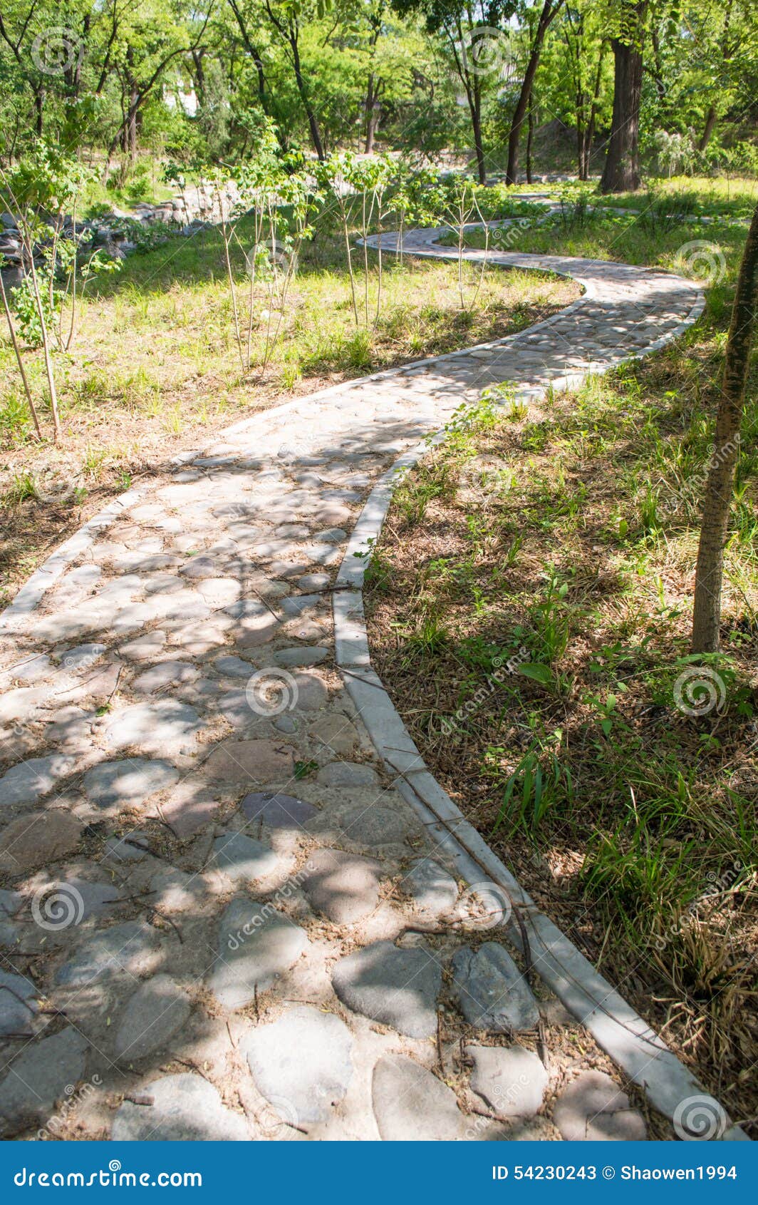 Curve Stone Walkway in Spring Stock Image - Image of floor, road: 54230243